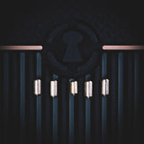 Standard Pin Cut away Lock | Sparrows Lock Picks – SPARROWS Lock Picks